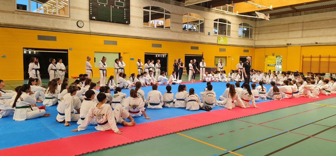 El Hankuk imparte un clínic en Mallorca durante el primer fin de semana ...